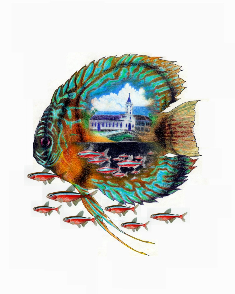 NADA Supports! – North American Discus Association