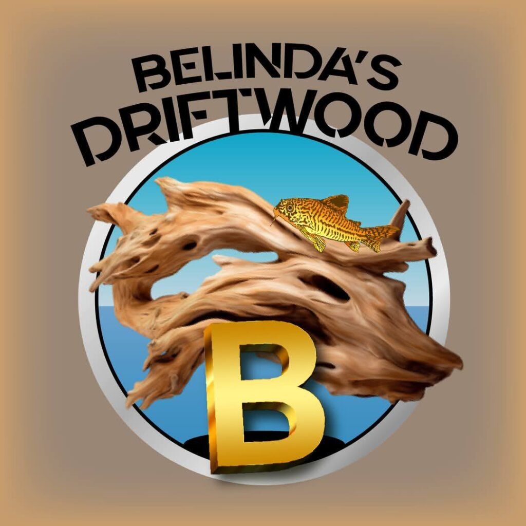 North American Discus Association